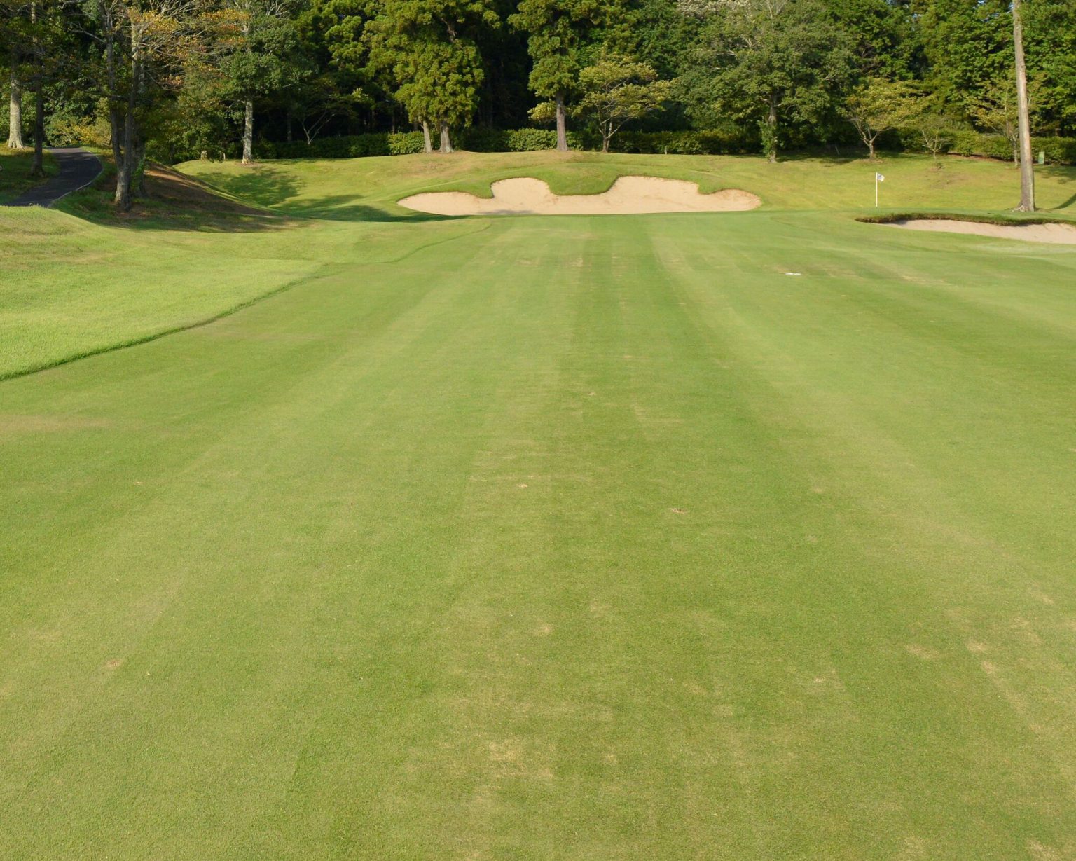 ロフト21度は「7W」と「4U」どっちがいい?＜後編＞キャリーで止めたいなら7W、弾道の安定感なら4U – Myゴルフダイジェスト