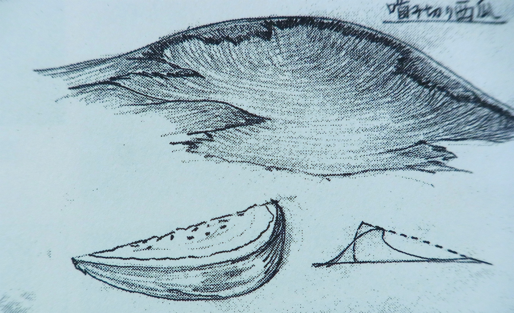知られざる“井上誠一”の世界＜後編＞「立地条件が良ければ結果的に良いコースになる。そのひとつが大洗」 – Myゴルフダイジェスト